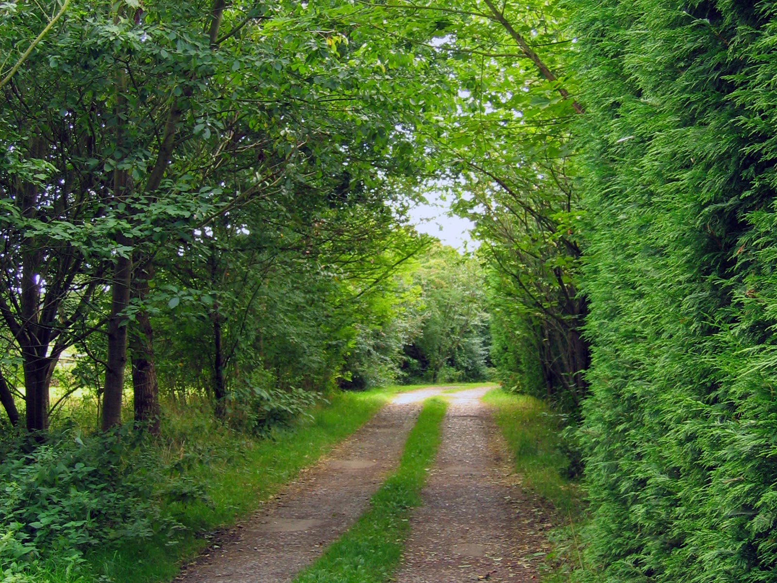 Boundary Walk South - Visit Edenbridge